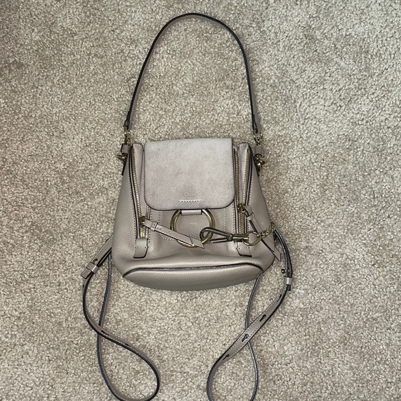 Chloe | Bags | Suede Calfskin Small Faye Backpack Motty Grey | Poshmark
